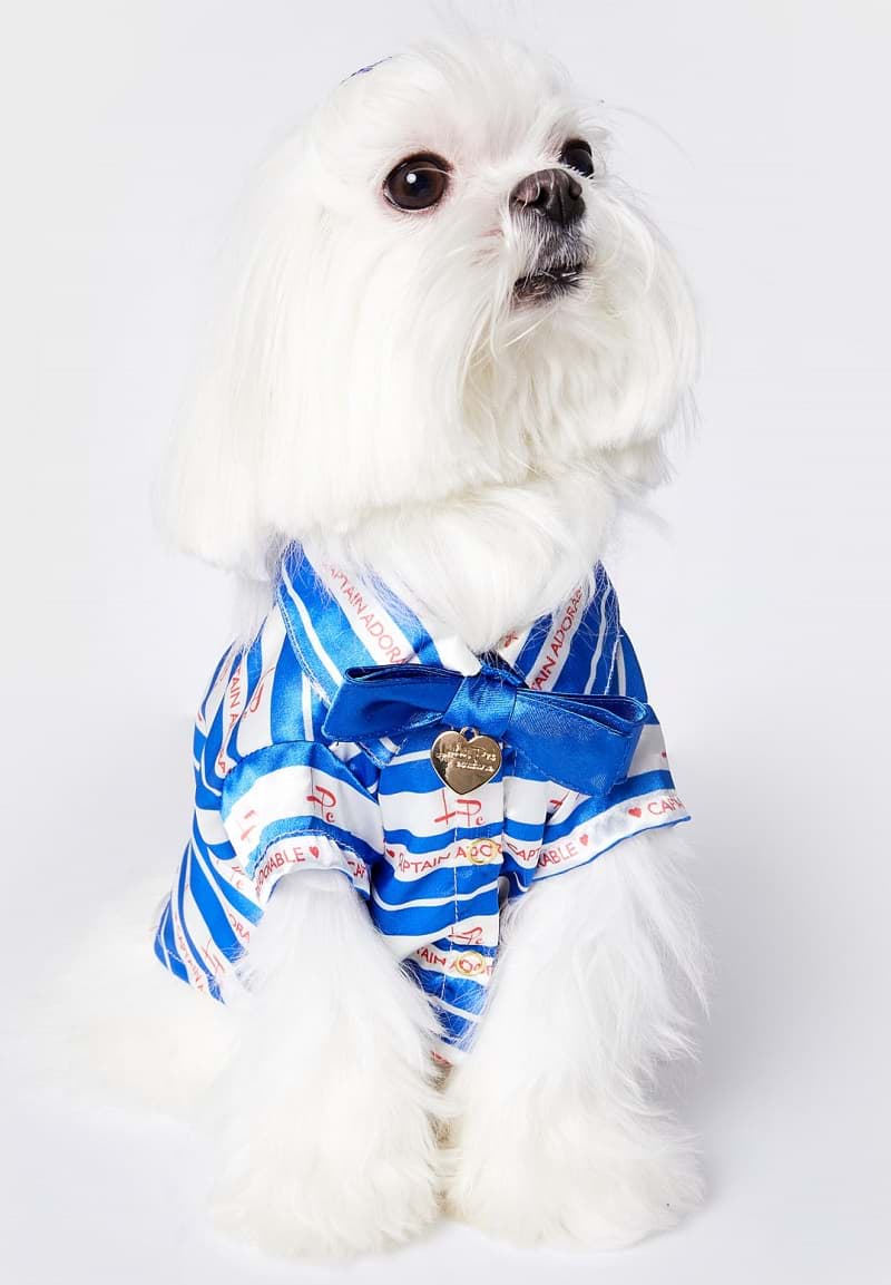 Lulu's Pet | Captain Adorable Köpek Gömlek